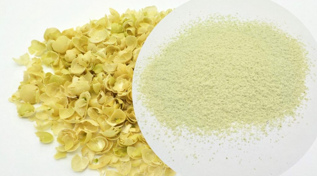 Pea fiber for the food industry - CerealVeneta