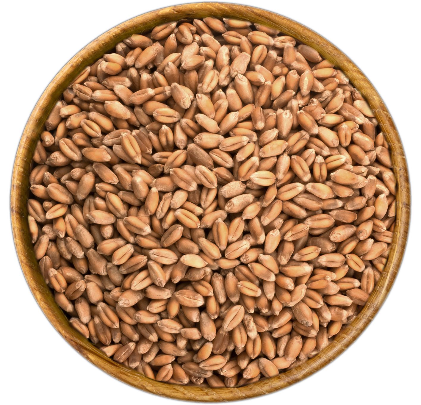 Semilavorati da grano tenero integrale – CerealVeneta