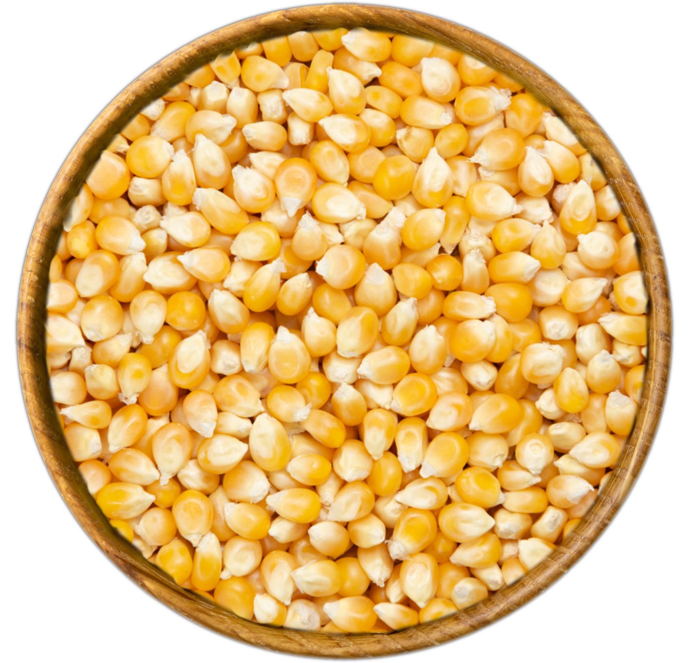 Semifinished products from wholemeal yellow corn – CerealVeneta