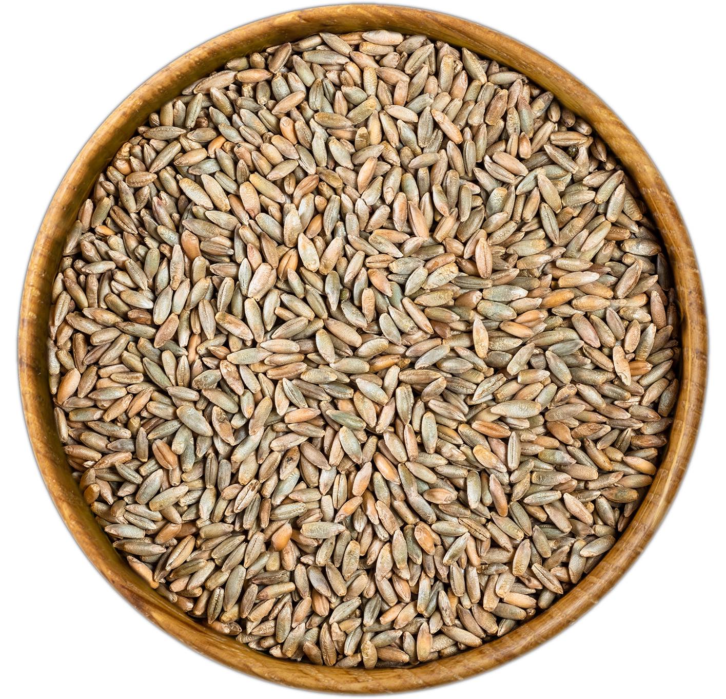 Semilavorati da segale integrale – CerealVeneta